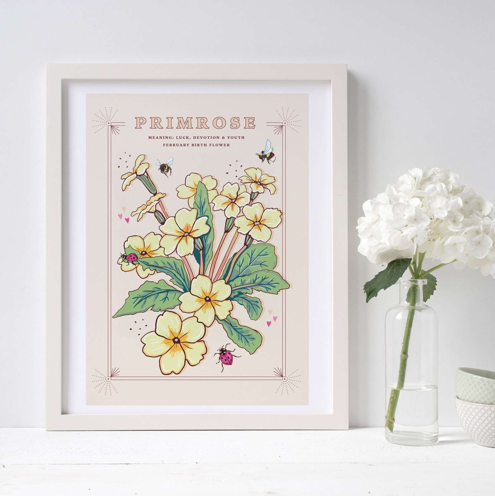 Primrose Wall Art Print February Birth Flower Illustration - Etsy