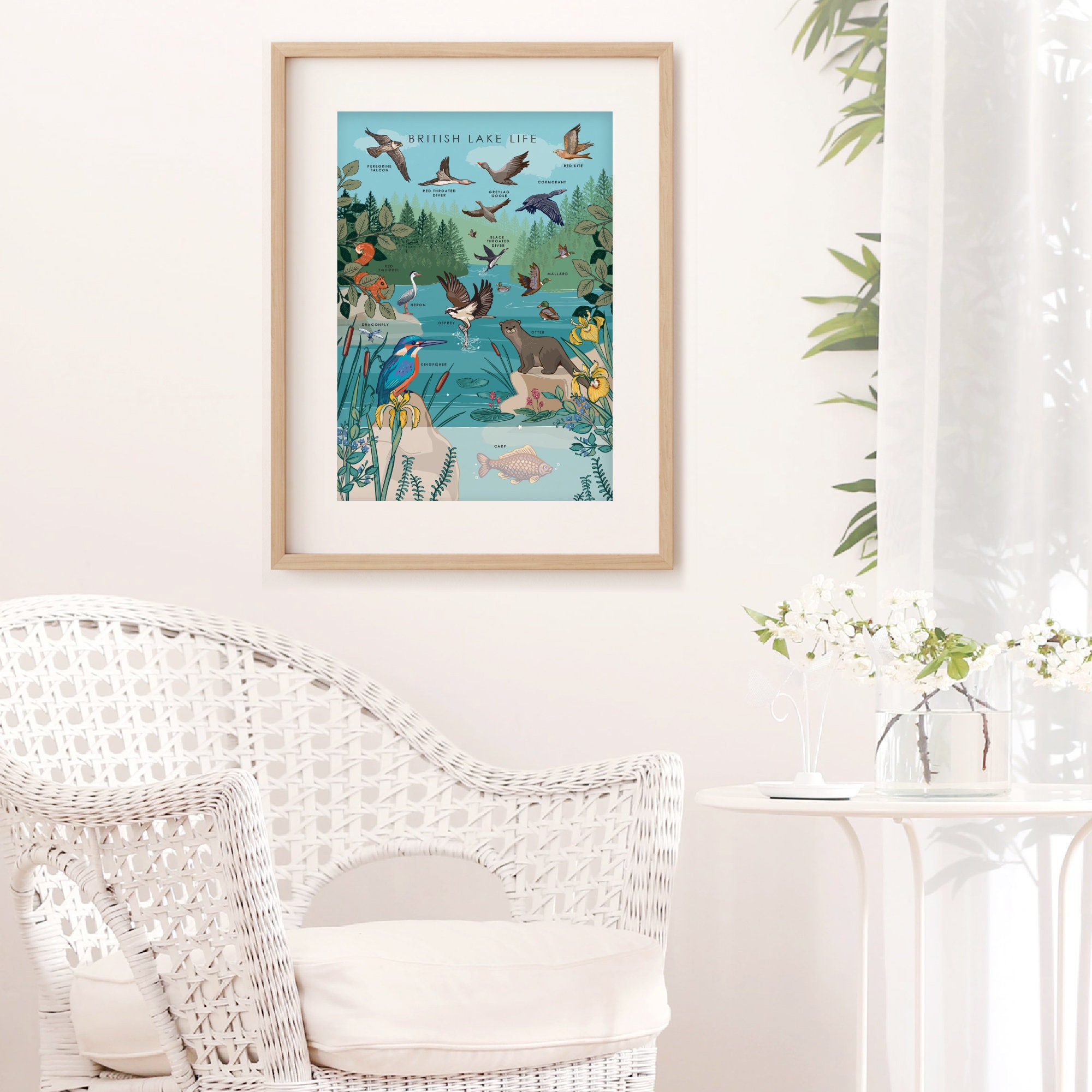 Lake Life Wall Art Print, Nature Poster of British Lake Wildlife, Birds ...