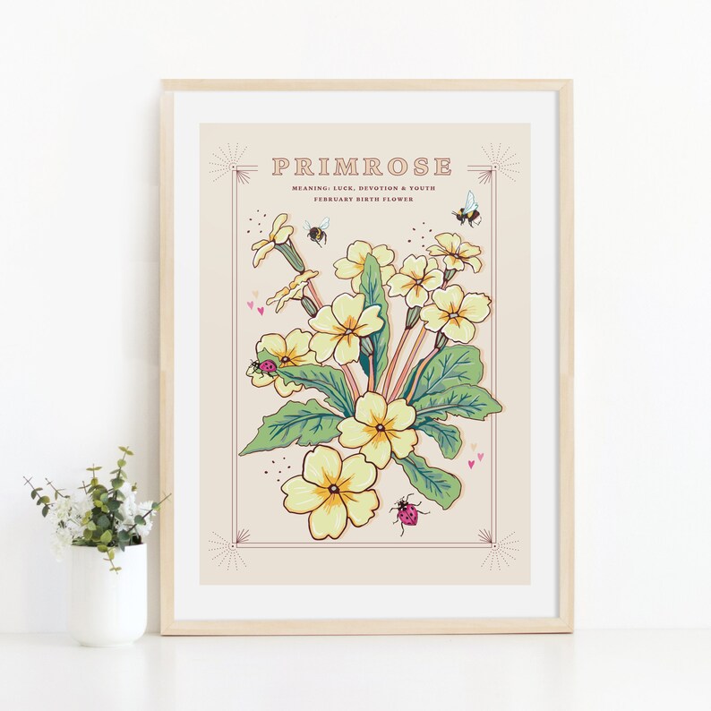 Primrose Wall Art Print February Birth Flower Illustration - Etsy