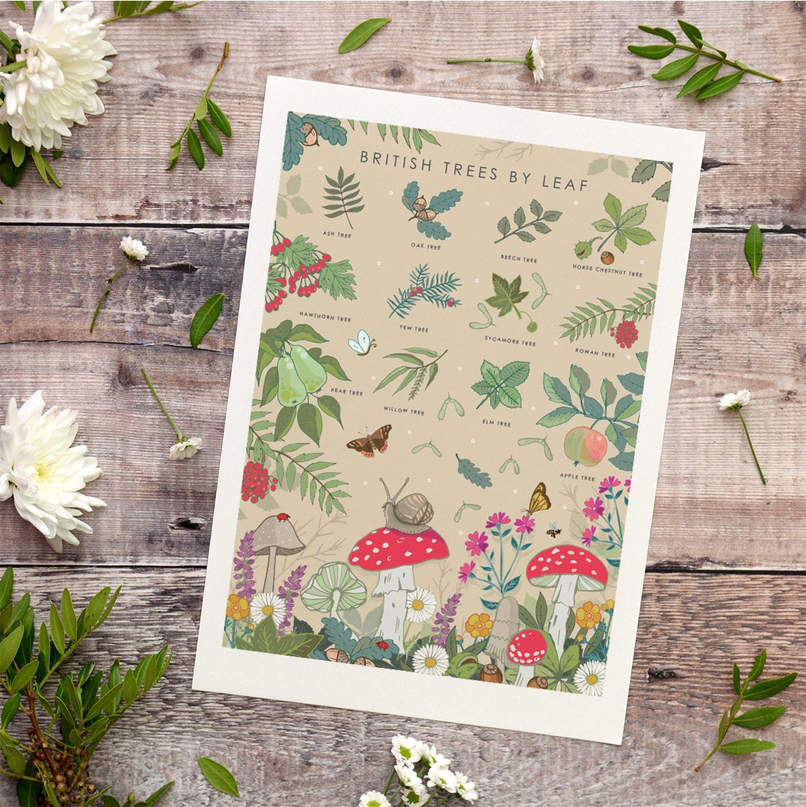 Toadstools & Leaves Print British Trees Nature Poster - Etsy UK