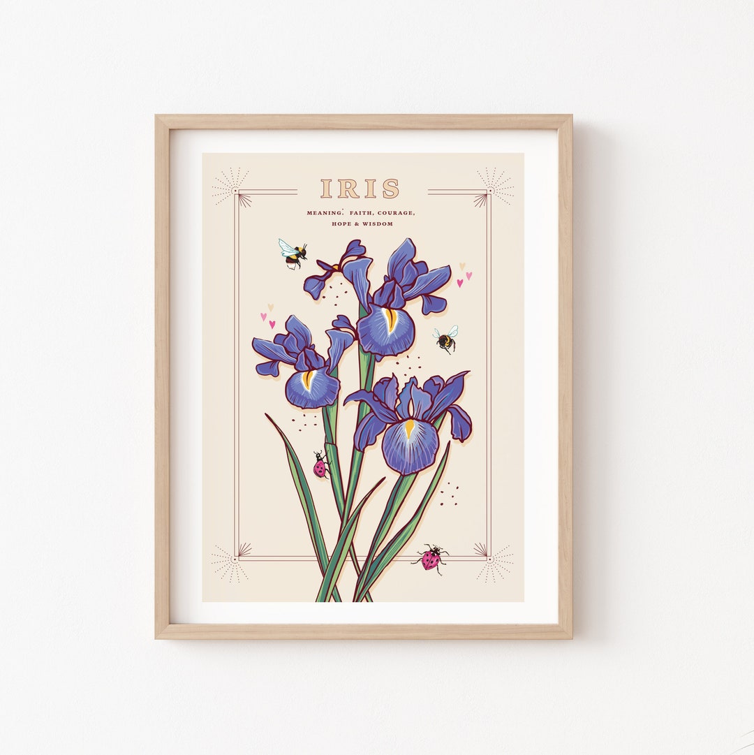 Iris Wall Art Print, Flower Meaning Illustration Print - Etsy