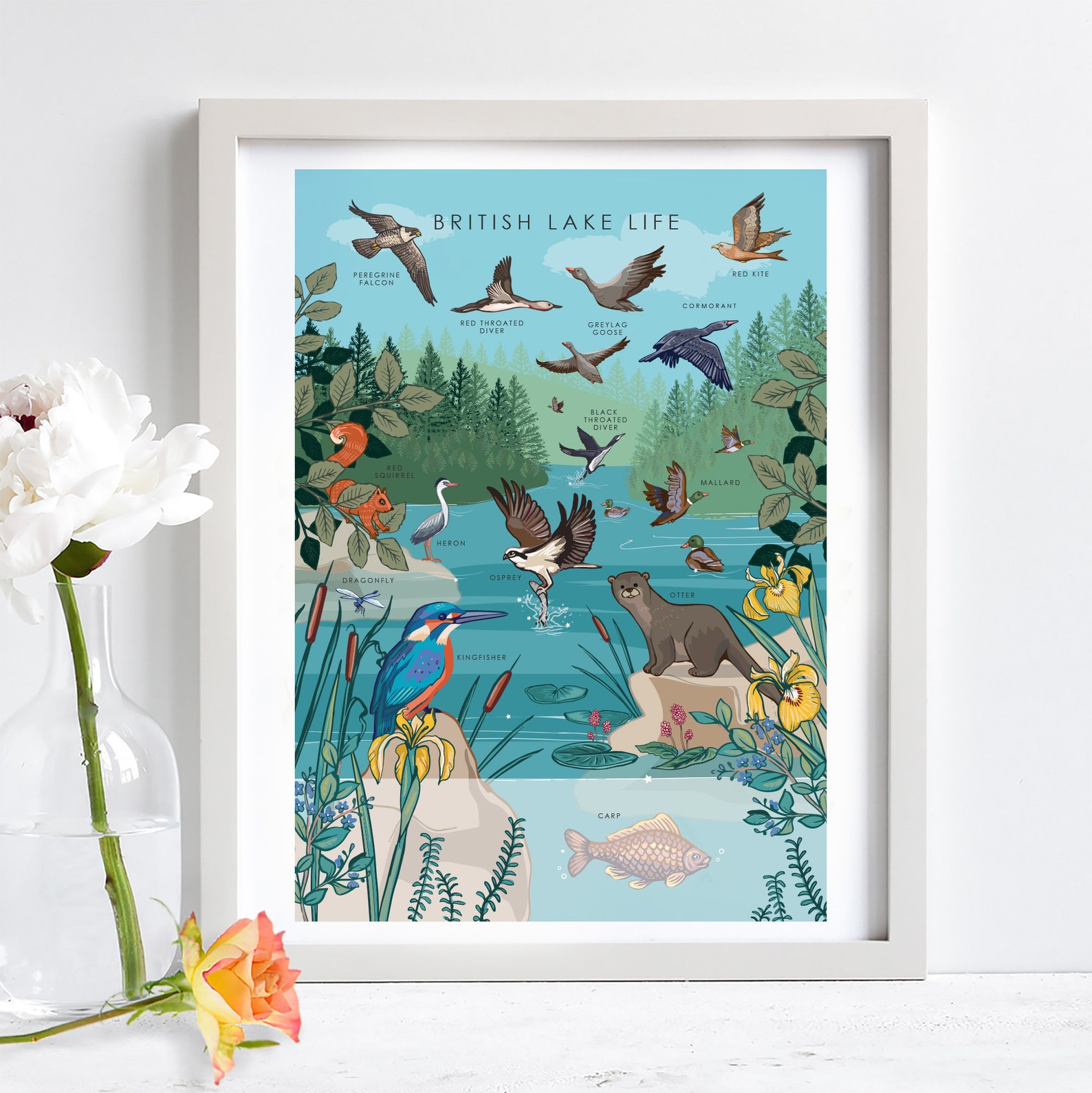 Lake Life Wall Art Print, Nature Poster of British Lake Wildlife, Birds ...