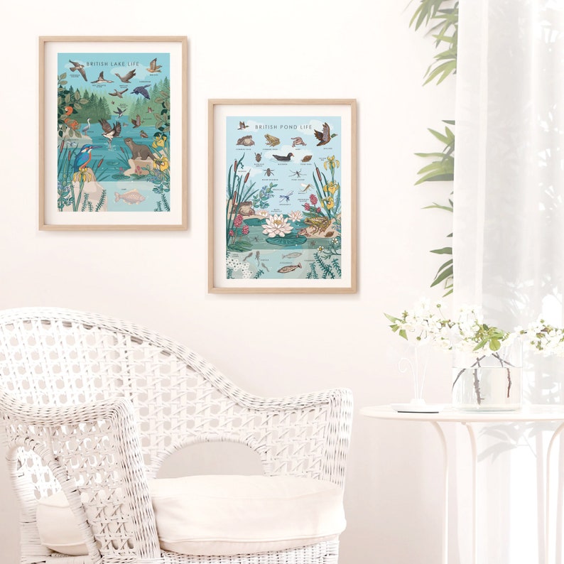Lake Life Wall Art Print, Nature Poster of British Lake Wildlife, Birds ...
