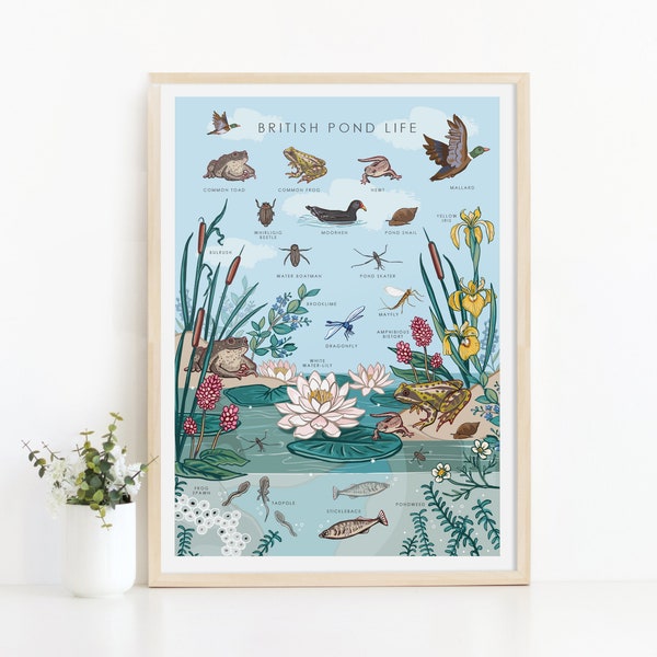 Pond Life Art - Etsy