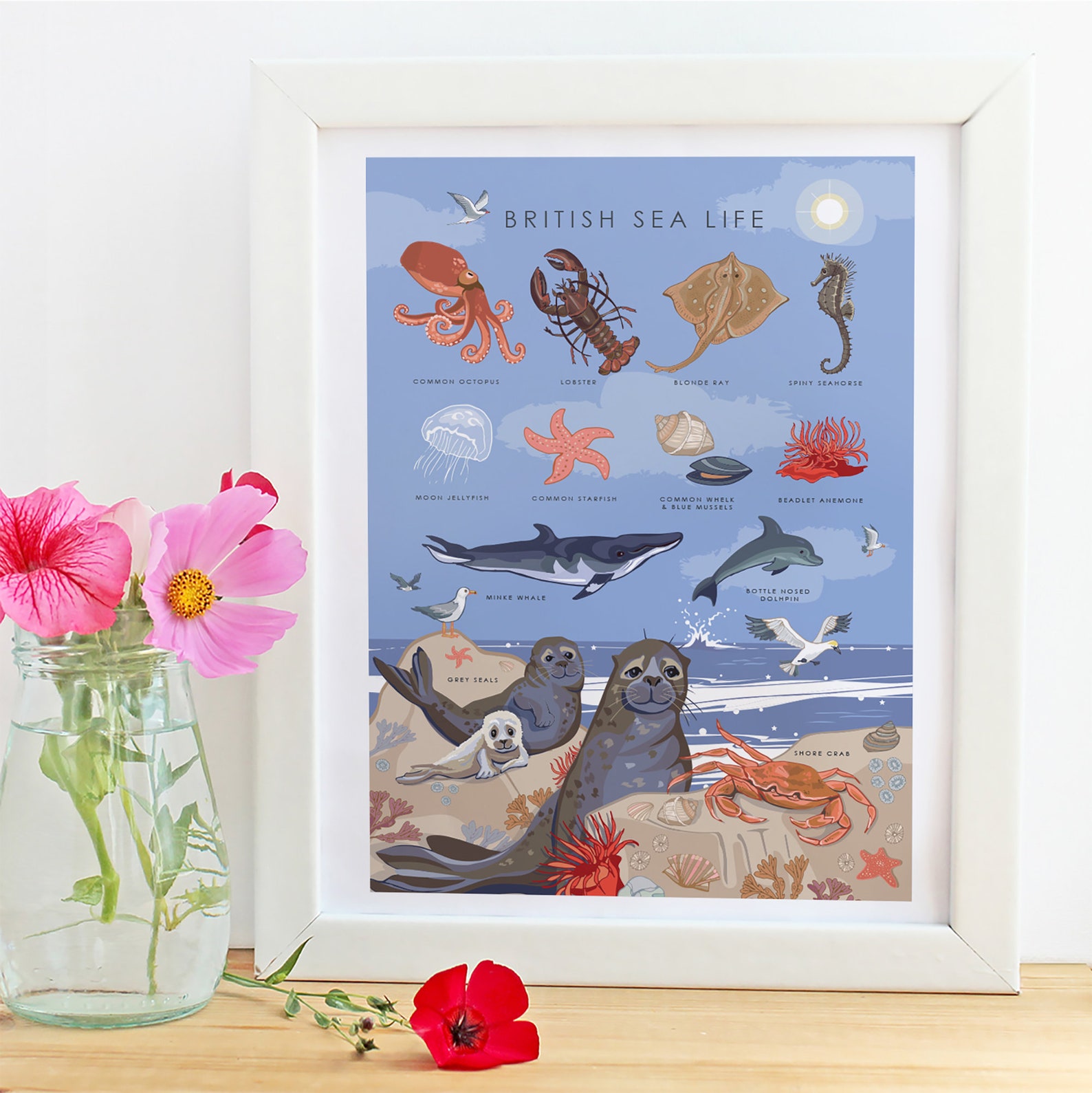 Sea Life Poster Ocean Life Print Wildlife Illustration - Etsy