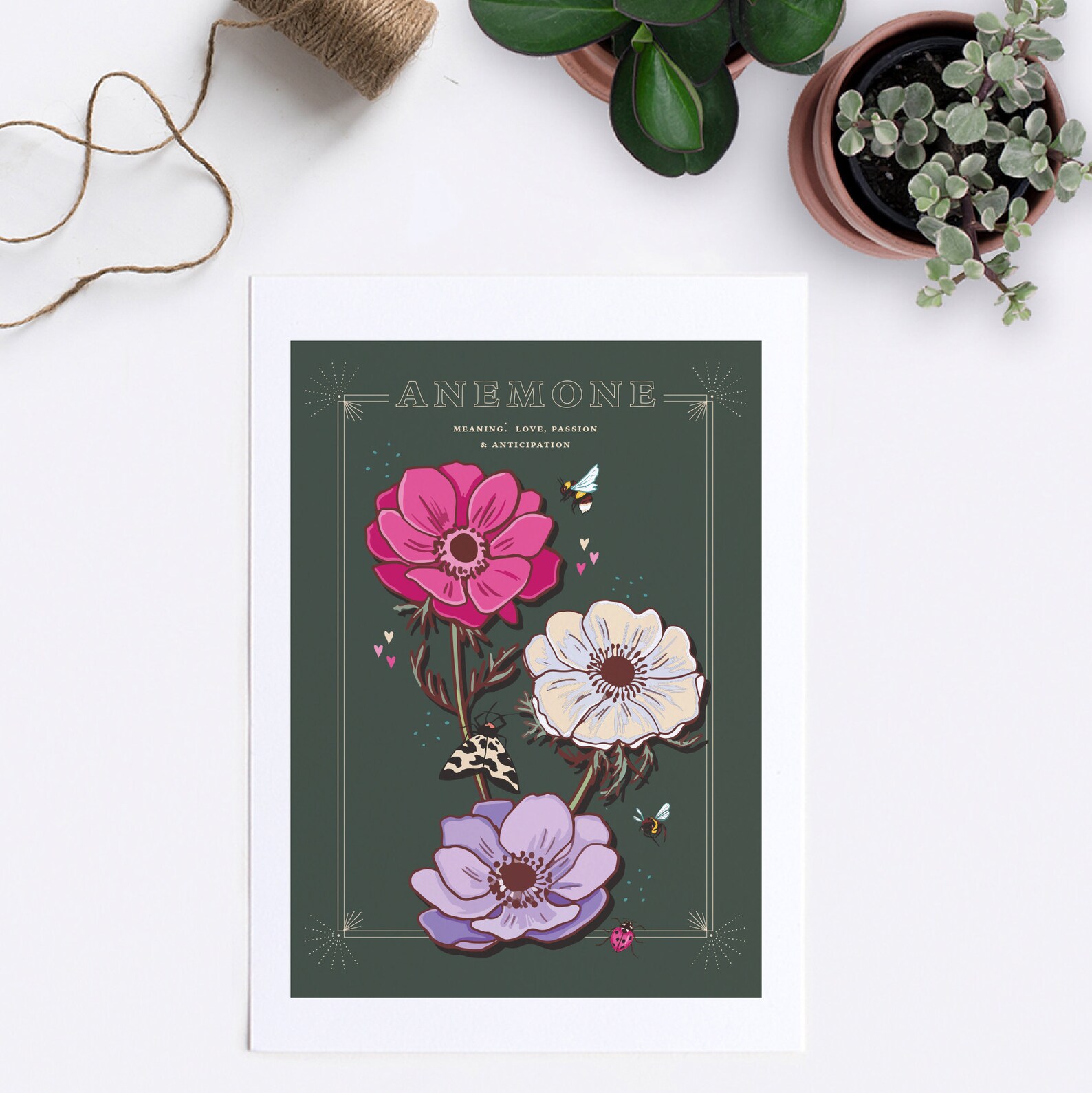Anemone Flowers Wall Art Print, Flower Meaning Illustration Print - Etsy