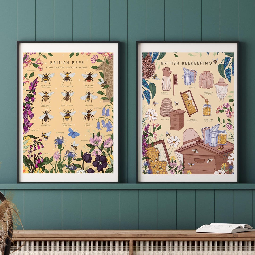 Bees and Beekeeping Nature Guide Posters, Wall Art Set of 2 - Etsy