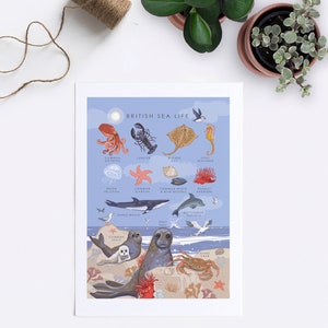 Sea Life Poster, Ocean Life Print, Wildlife Illustration, Nature Guide ...
