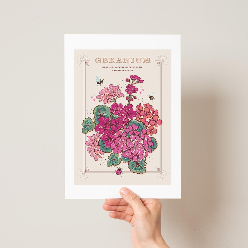Geranium Wall Art Print, Flower Meaning Illustration Print - Etsy
