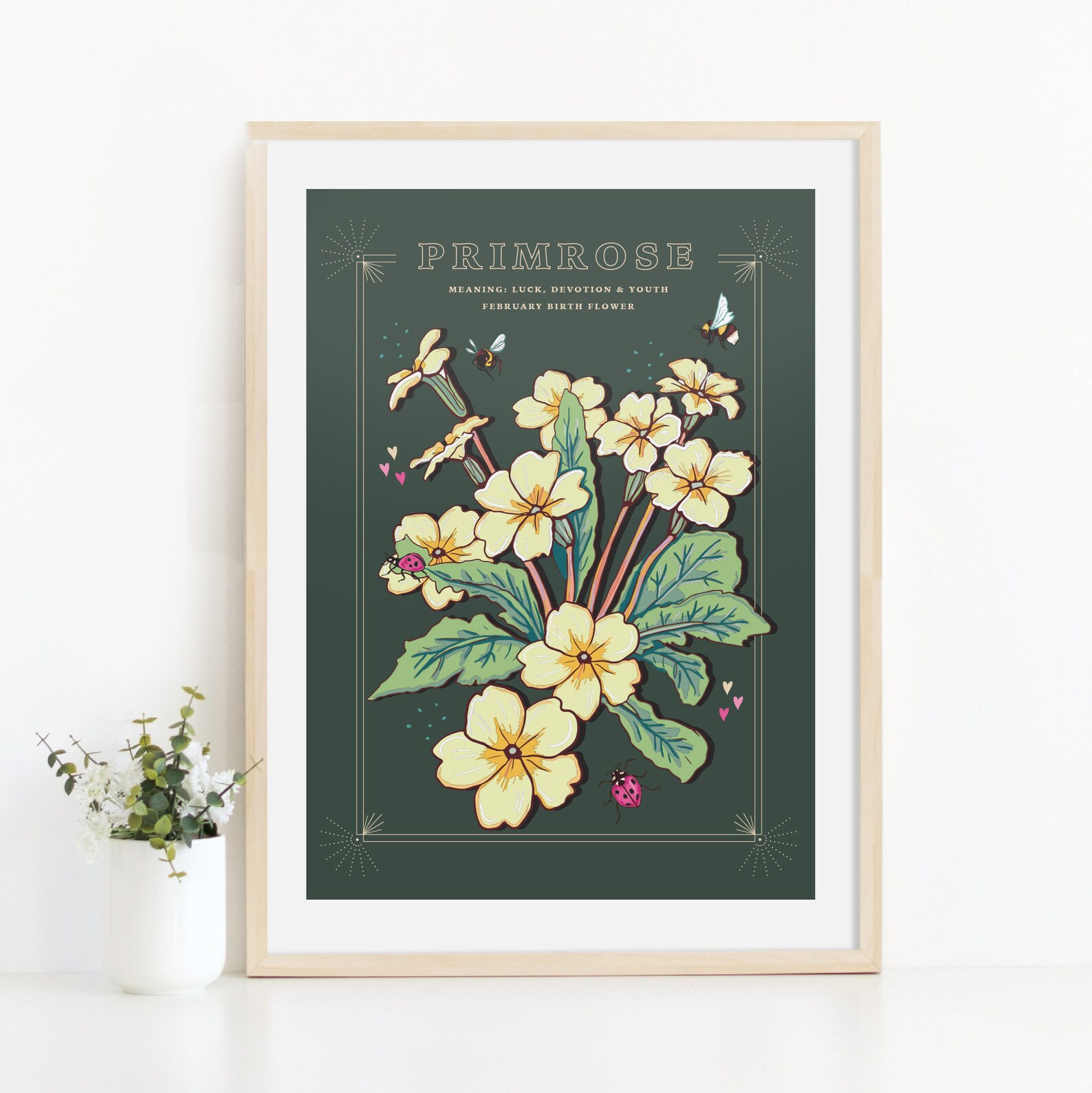 Primrose Wall Art Print February Birth Flower Illustration - Etsy