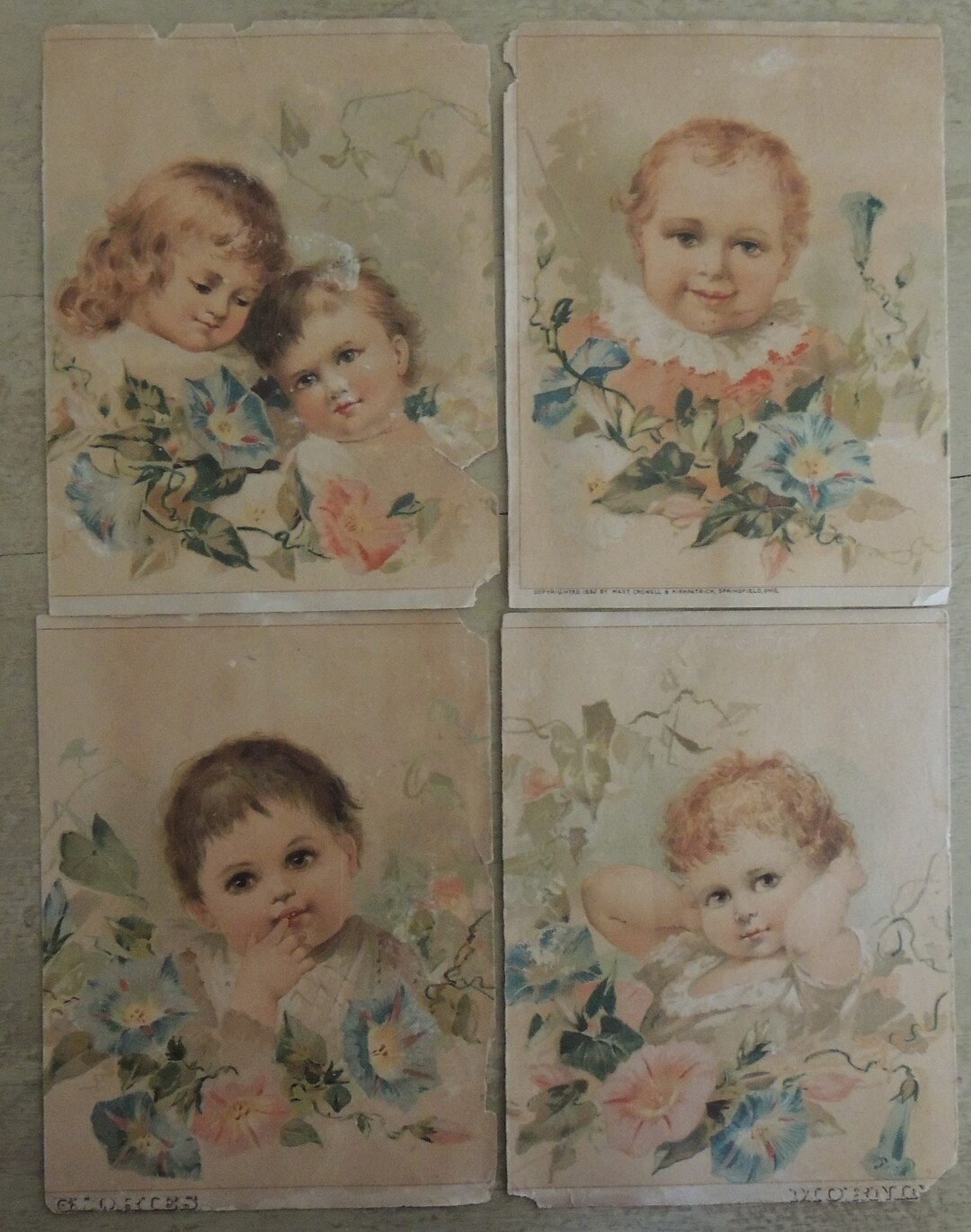 VICTORIAN BABIES FOUR 1892 "morning Glories" Prints 5" by 7" Whimsical ...