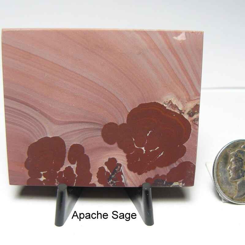 DesignsbyShirl - Etsy