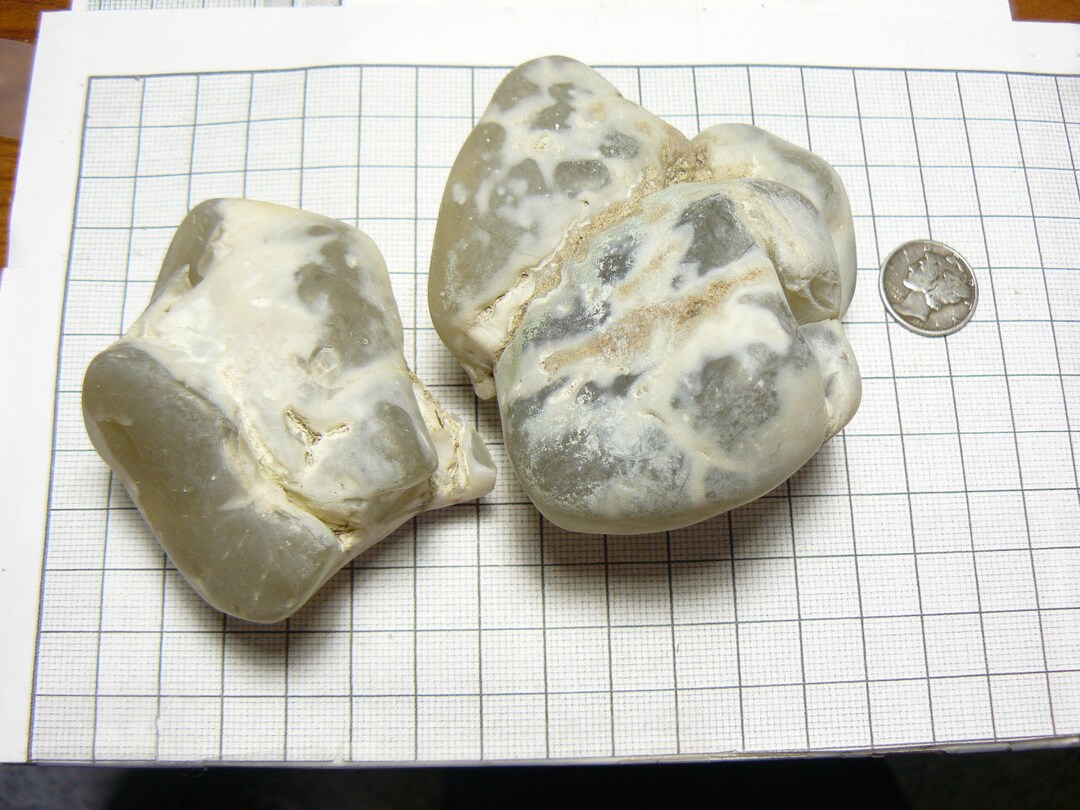 2 Snakeskin Agates Small Rough Chunks 134 G and 238 G White - Etsy