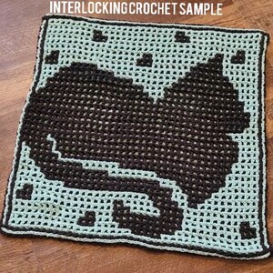 April Cat From 2022: A Year of Cats Ebook of Interlocking locked Filet ...