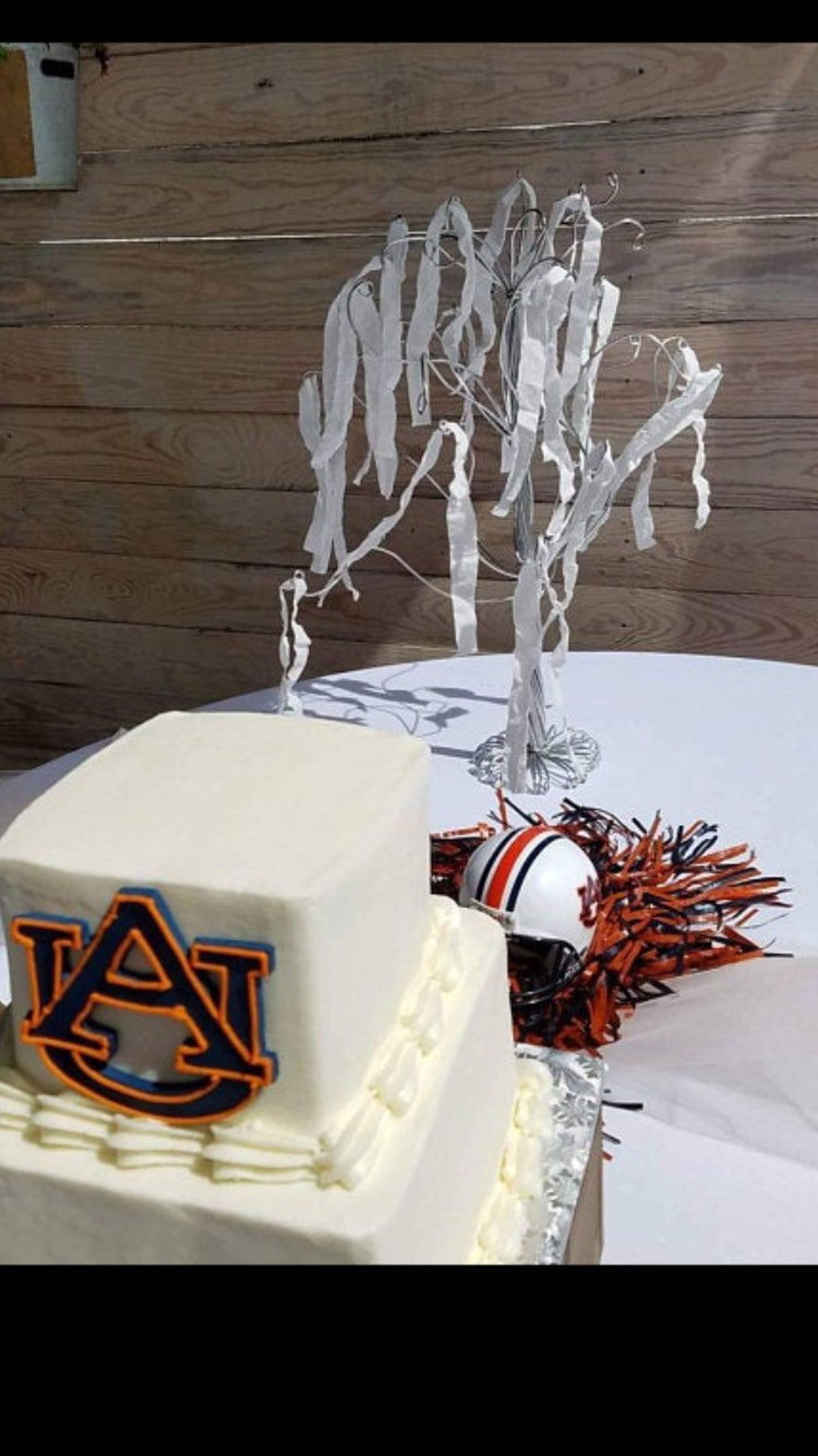 Auburn Tigers Toomer's Oak Tree Memorabilia Oak Ready to - Etsy