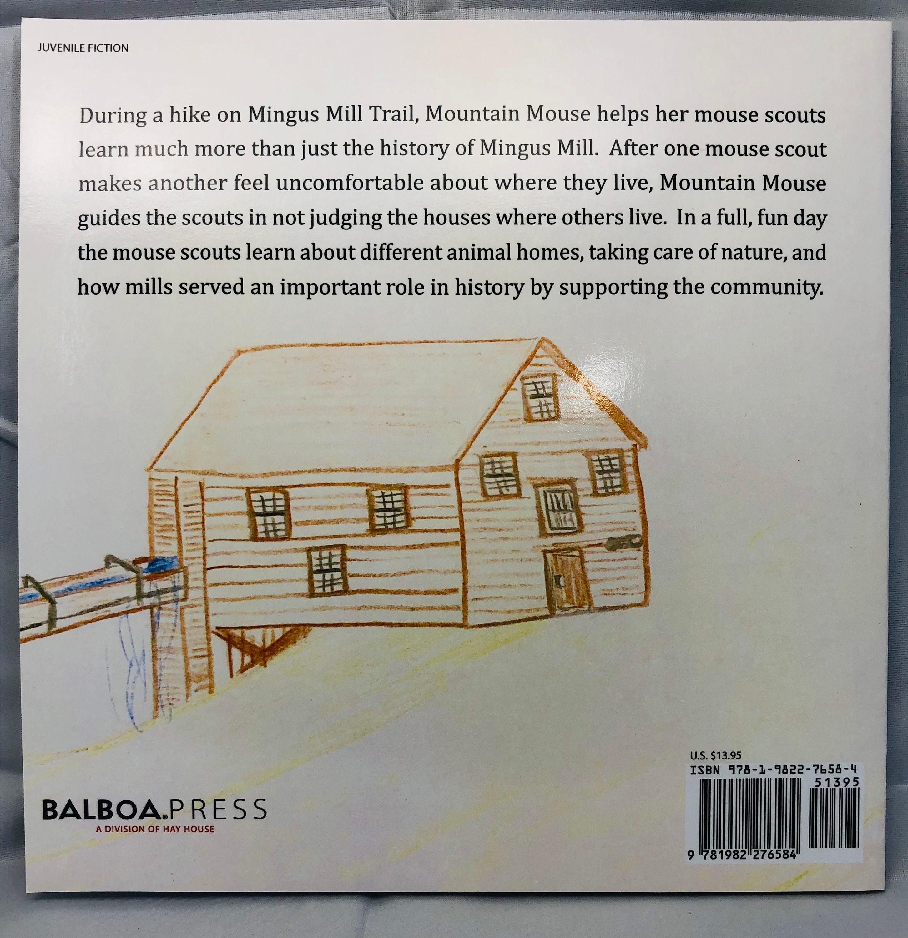 That's Not a Mouse House! by Caryl Lynne Honea - Etsy