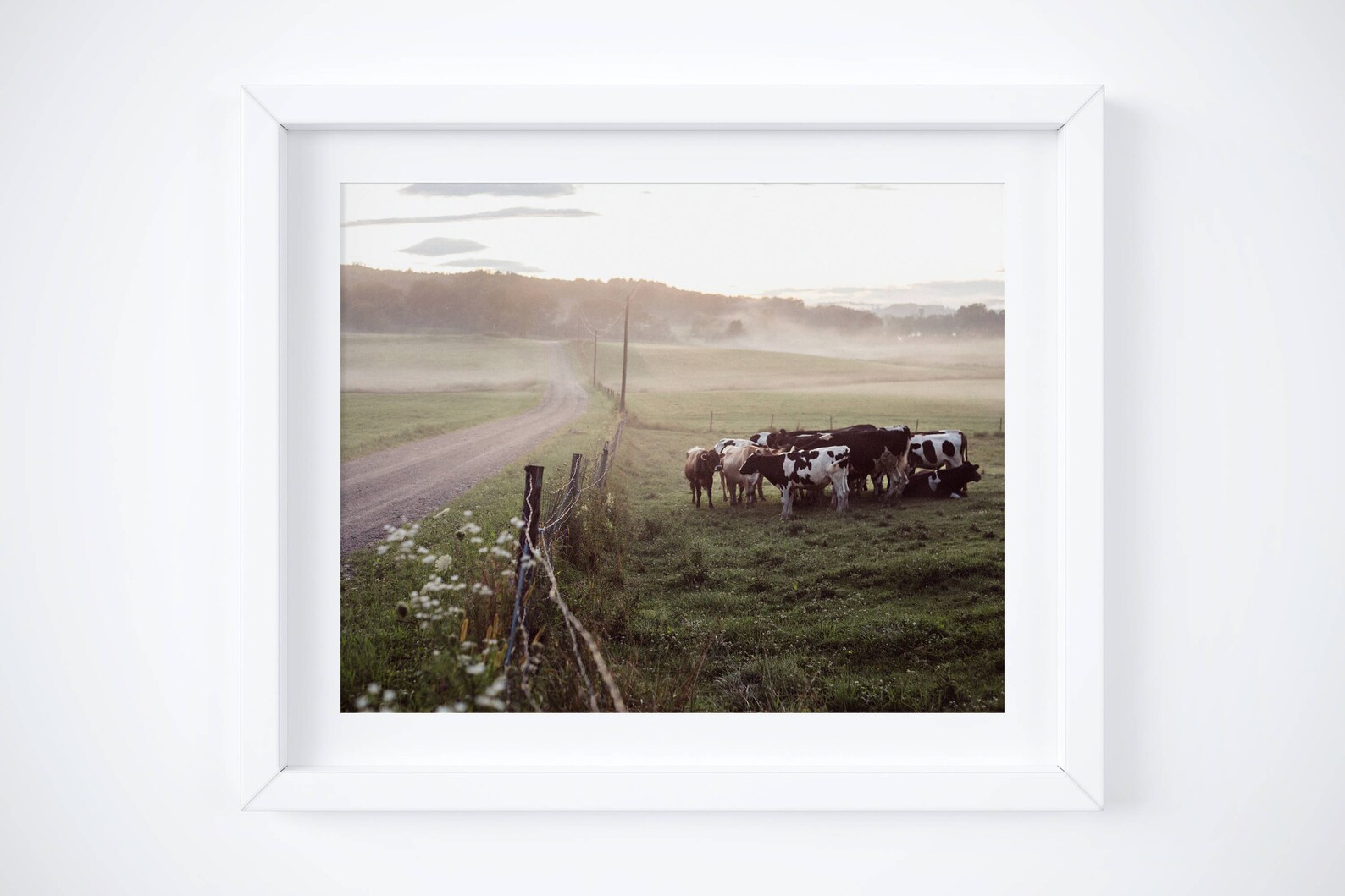 Farm Art - Country Wall Decor - Farm Animals Art - Cow Photography ...