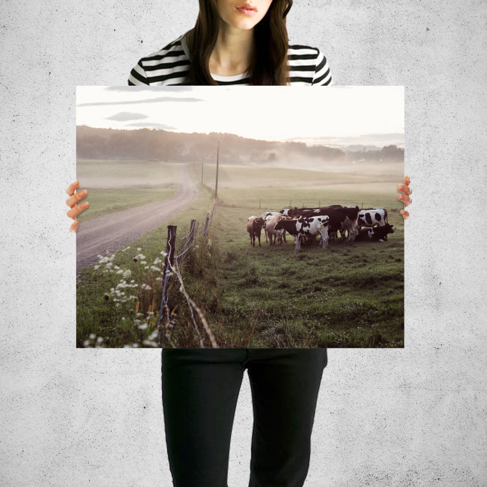 Farm Art - Country Wall Decor - Farm Animals Art - Cow Photography ...