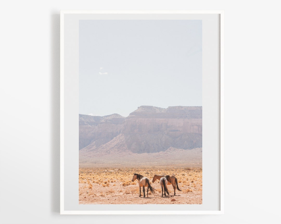 Southwestern Desert Photo Print - Western Horse Print - Arizona ...