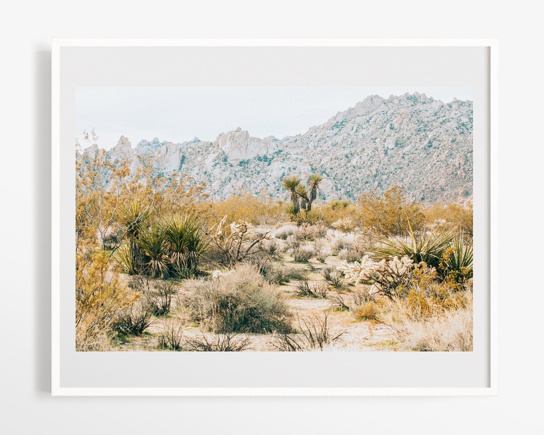 Mojave Desert Art Print - California Landscape Wall Decor - Western ...