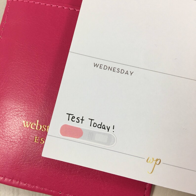 Pregnancy Test Stickers Pregnancy Stickers for Planner - Etsy