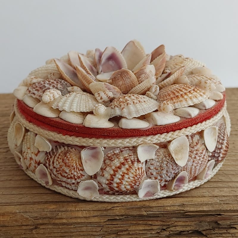 Shell Creations - Etsy