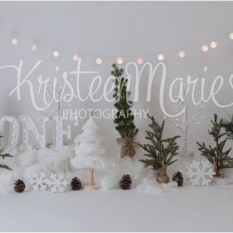 Winter Digital Backdrop - Etsy