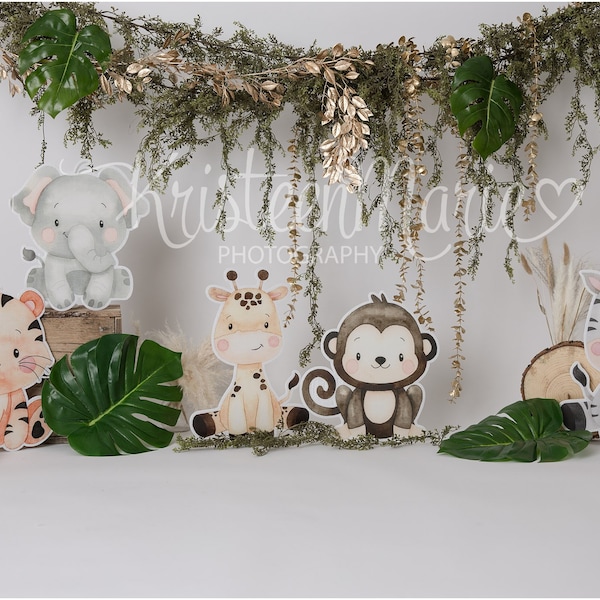 Wild One Backdrop - Etsy