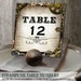 Steampunk Wedding Reception Table Numbers 1-12 Jpg PDF Digital ...