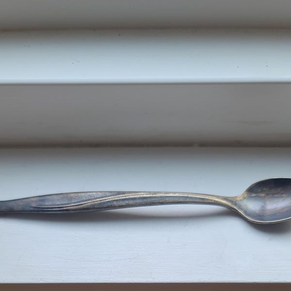 Taster Spoons - Etsy