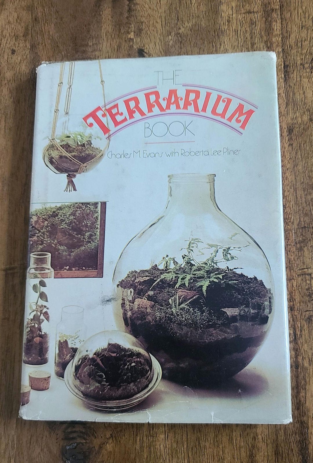 The Terrarium Book 1973 by Charles Evans With Roberta Lee Pliner ...