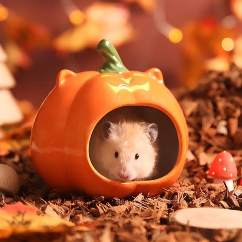 Mushroom House Hamster - Etsy