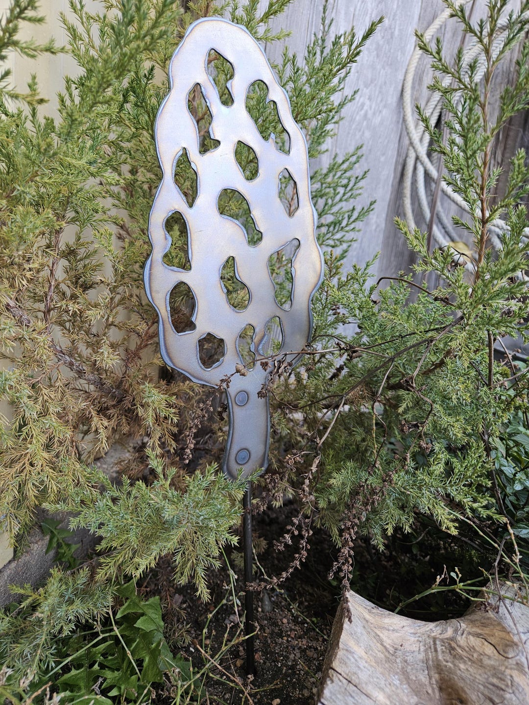 True Morel Mushroom Metal Garden Stake Indoor Outdoor Home Decor Fungi ...