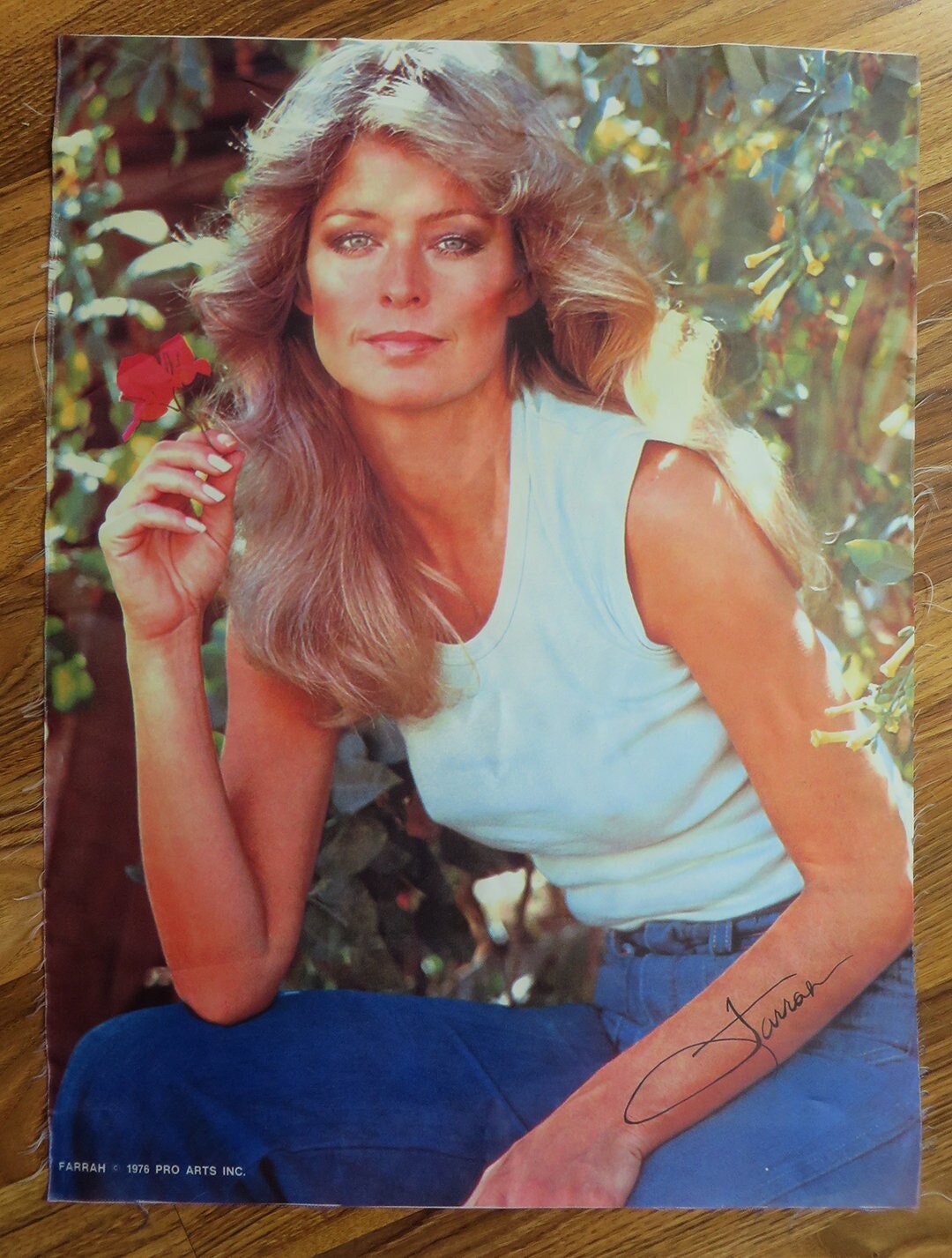 AWESOME Vintage Farrah Fawcett ROSE Fabric Photo Pillow - Famous Poster ...