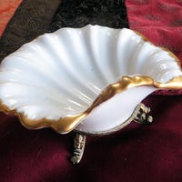 Porcelain Shell - Etsy UK