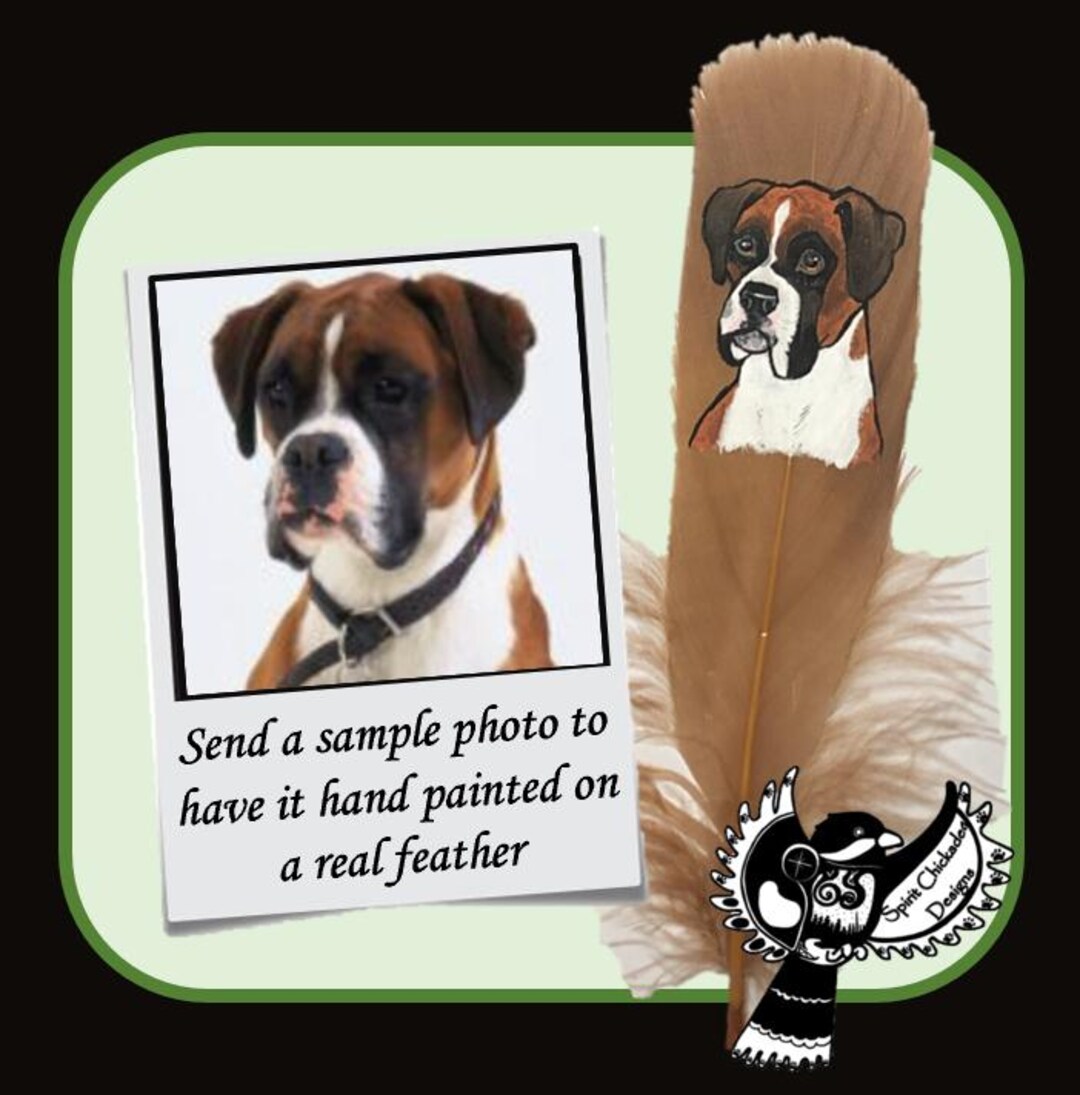 Pet Memory - Hand Painted Feather - Etsy