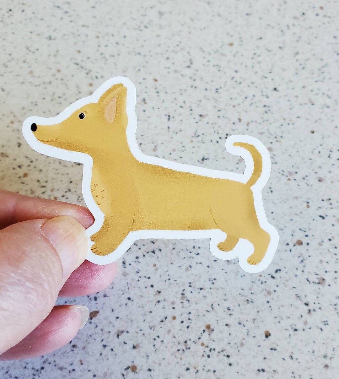 Chiweenie Vinyl Sticker, 3", Tan Ears up Smooth Coat Chihuhua Dachshund ...
