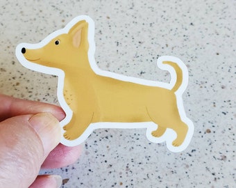 Chiweenie Coat - Etsy