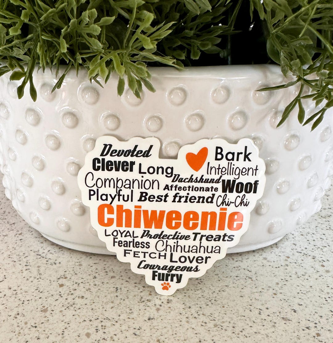 Chiweenie Sticker: Playful Chihuahua-dachshund Mix, 3" Vinyl - Etsy