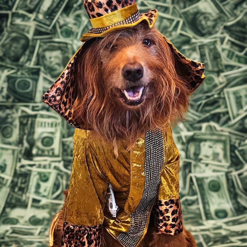 Pimp Costume - Etsy