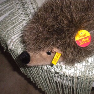 Vintage Steiff Hedgehog Joggi, Collectible, Baby's Room, Steiff, German ...