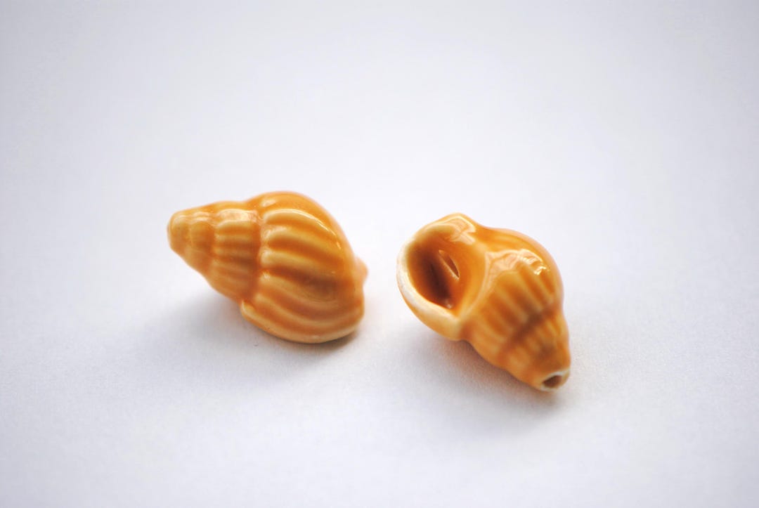 Smooth Porcelain Tan Sea Shells - Etsy