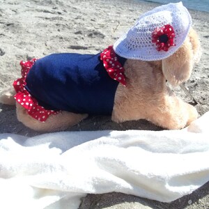 Dog Bathing Suit, Red N Blue 3 Piece Set, Bikini-towel-hat Set, Dog ...