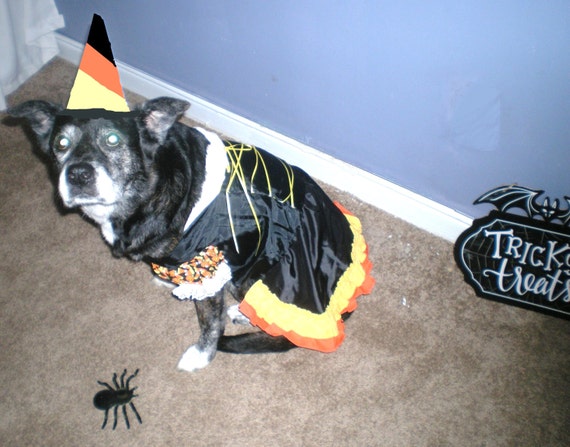 Candy Corn Dog Costume