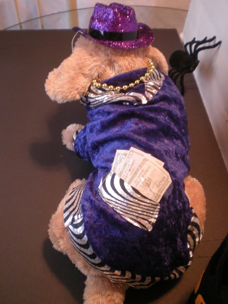 DOG COSTUME , Pimp Dog Costume, Halloween for Pets,dog Clothes, Pet ...