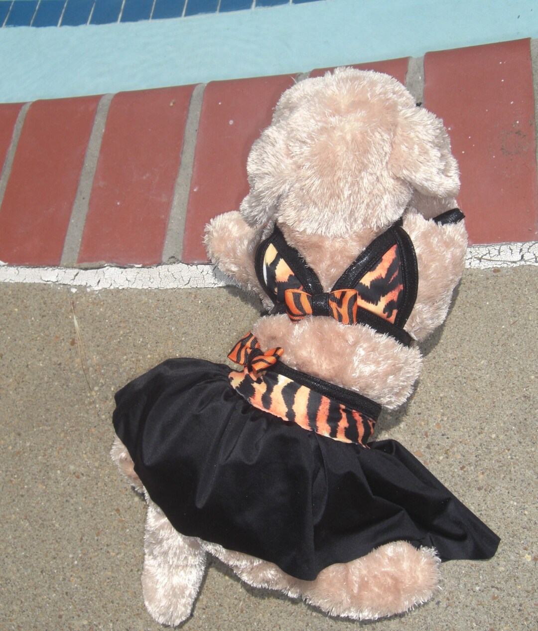 Dog Bikini, Tigress 3 Piece Set, Bikini-towel-hat Set, Dog Beach Set - Etsy