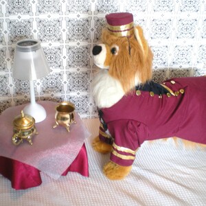 Bell Hop Dog Halloween Costume, Burgundy Red Coat, Gold Trim - Etsy