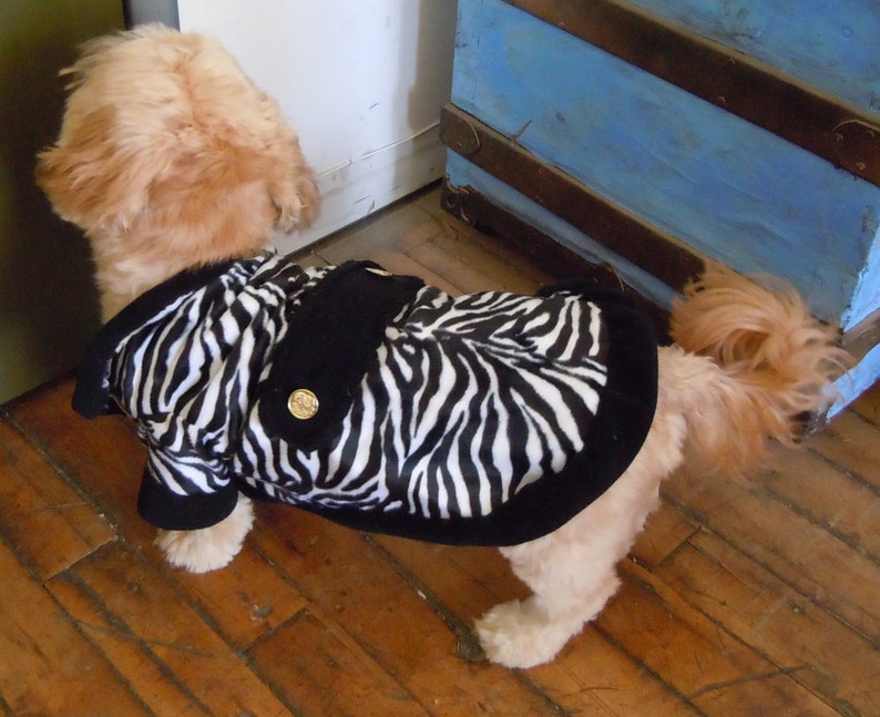Dog Coat, Pet Coat, Dog Clothes, Zany Dog Coat, Zebra Fur Dog Coat, Fur ...