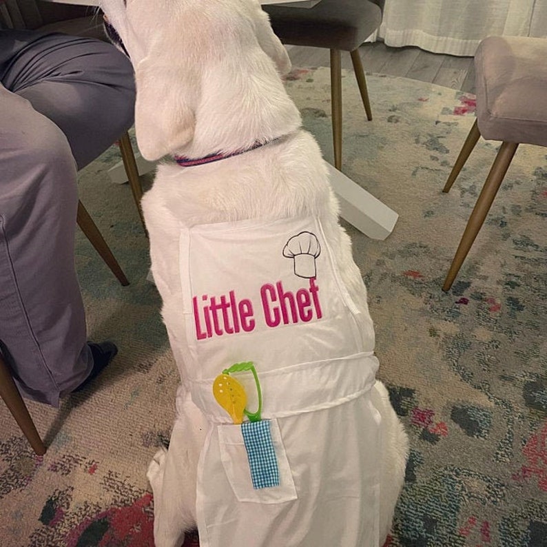 DOG COSTUME, "chef Apron", Dog Costume, Halloween for Pets, - Etsy