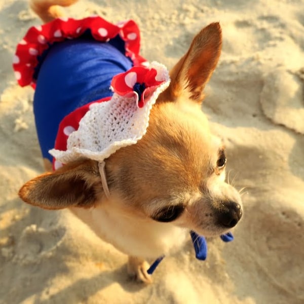 Dog Suit - Etsy